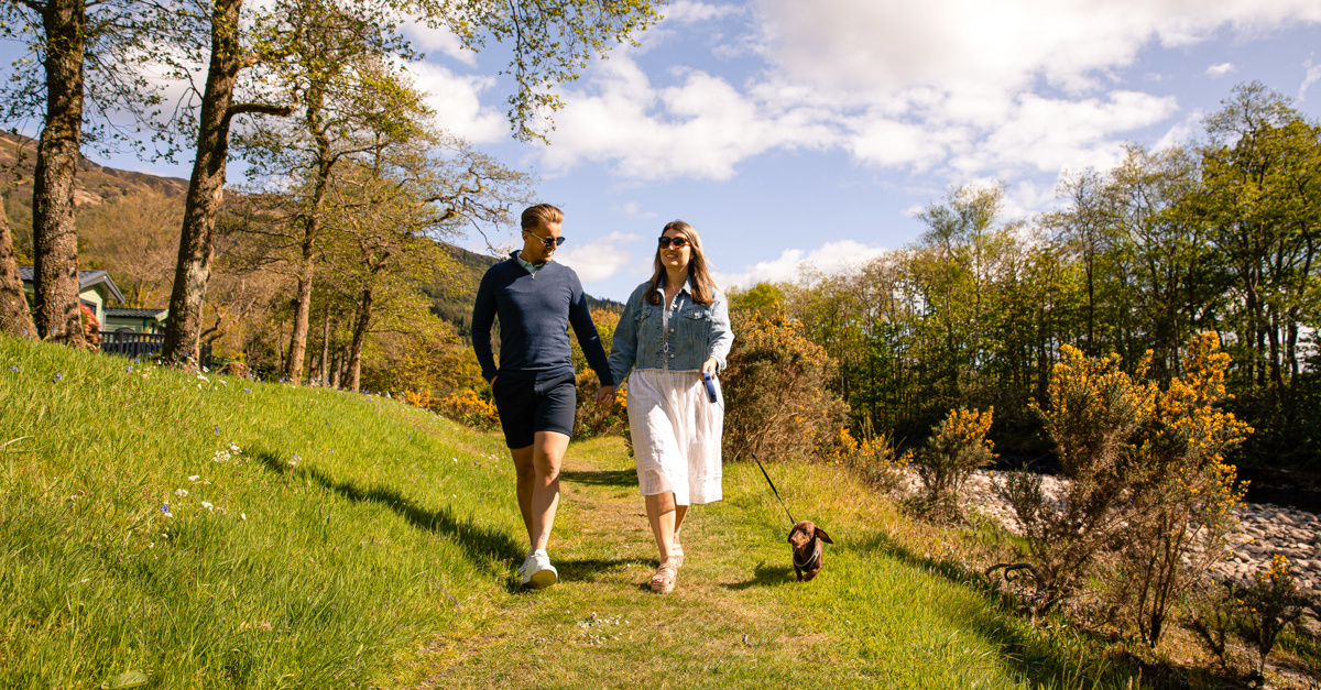 4 coastal dog-friendly walks in Cowal | Wild About Argyll