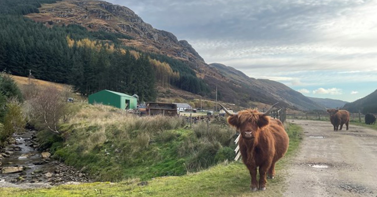 There's something about Cowal | by Robin McKelvie