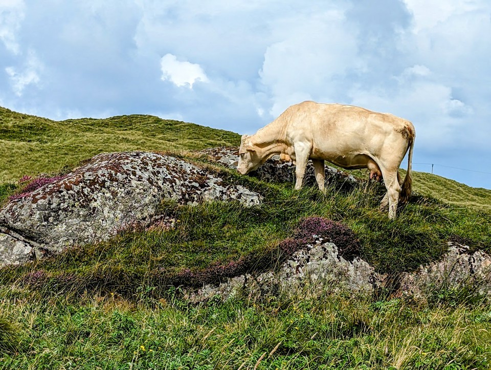 Visit Isle of Coll | Argyll & the Isles