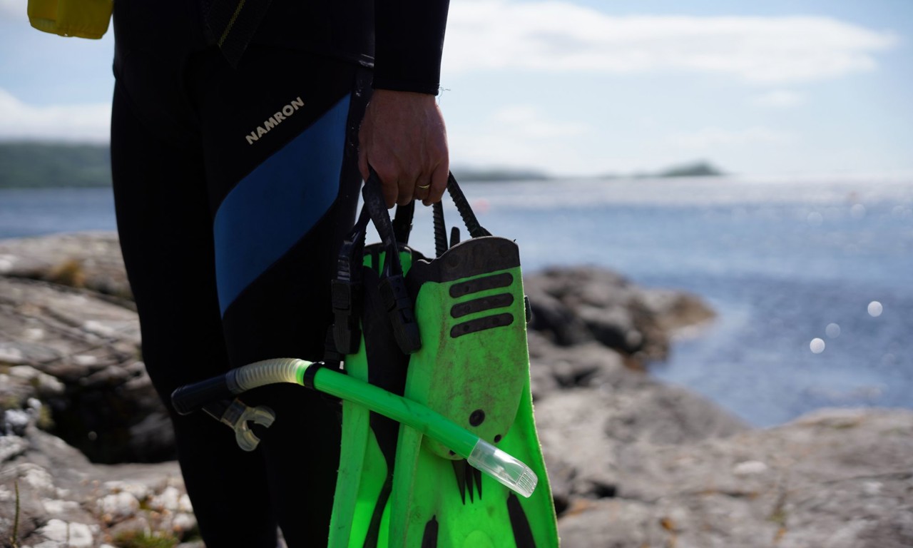 Snorkelling in Scotland | Wild About Argyll