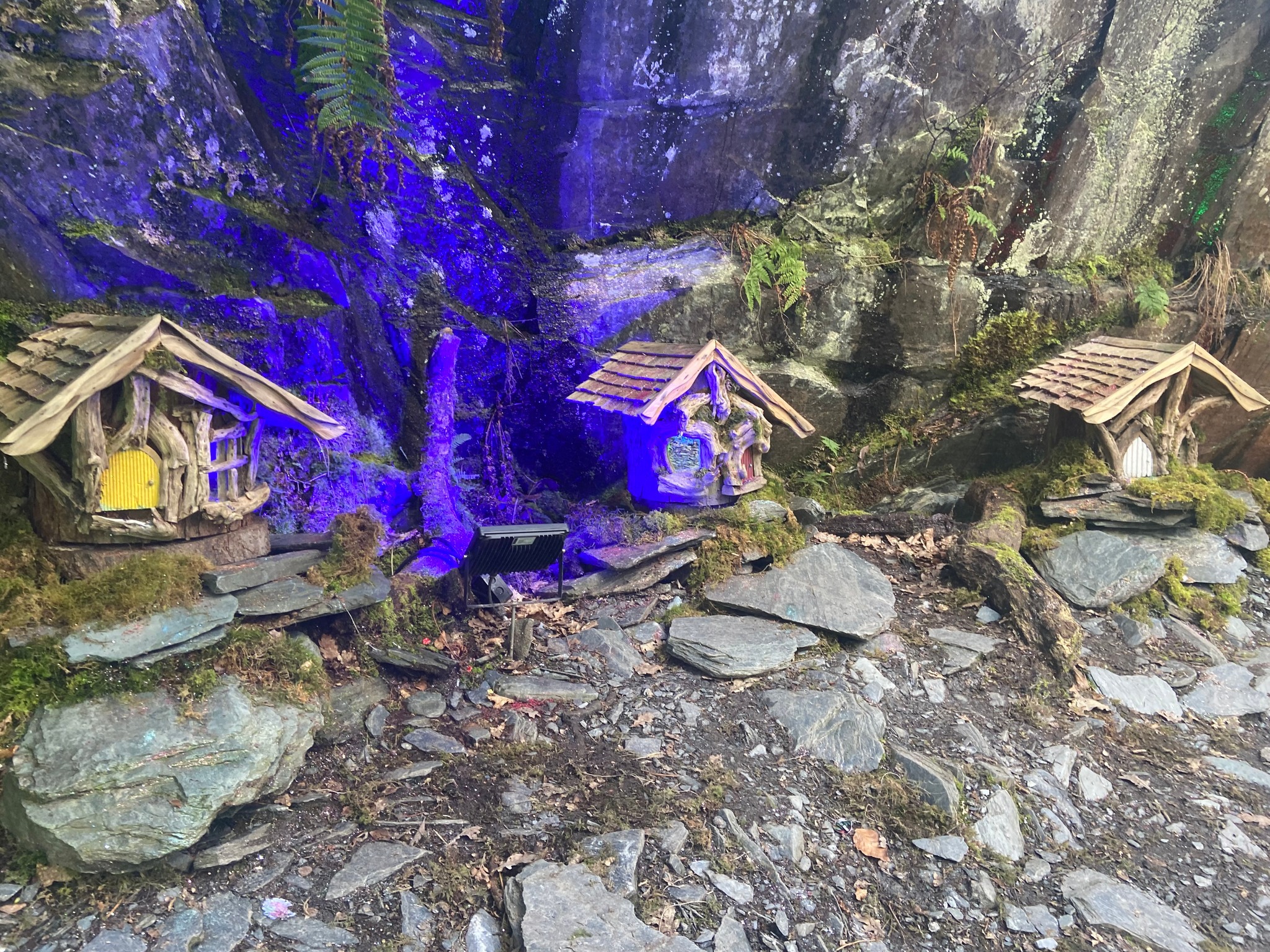 Loch Lomond Faerie Trail | Argyll & the Isles | Wild About Argyll