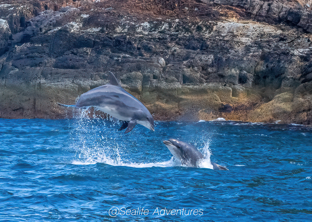 Nature, Wildlife & Gardens | See & Do | Argyll & the Isles