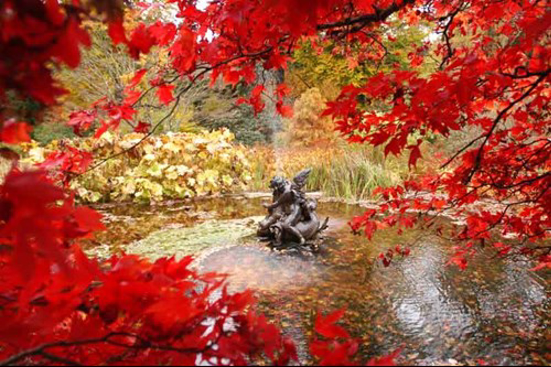 8 Things to Do in Dunoon, Cowal | Argyll & the Isles