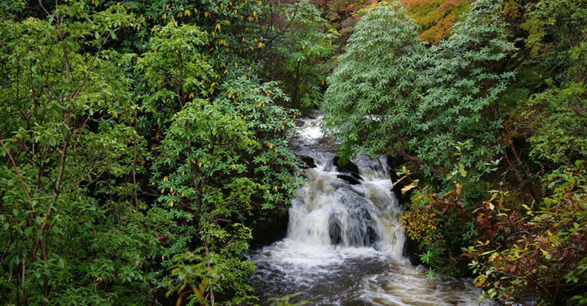 Crarae Garden – combine the scents of the Himalayas with a visit to ...