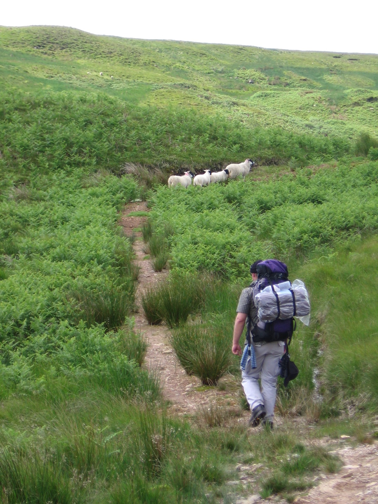 The Kintyre Way | Walking in Argyll & the Isles | Scotland