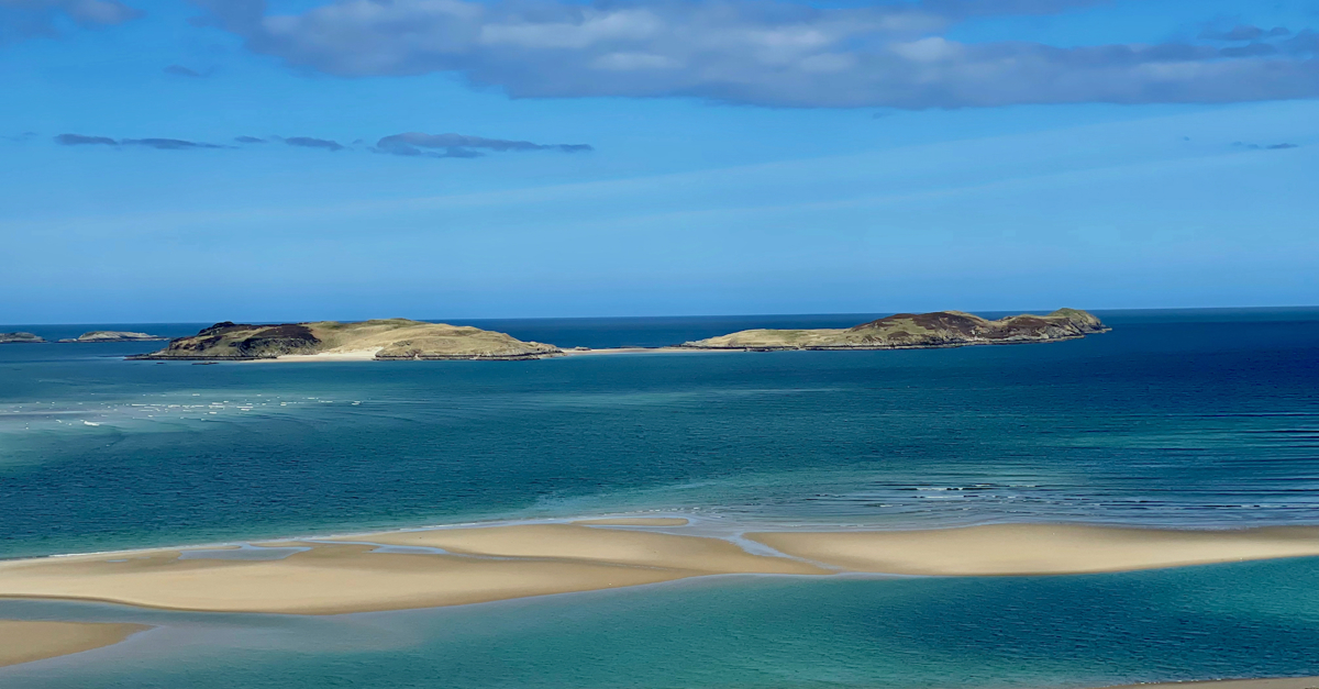 The Wild Scot | Argyll & the Isles | Wild About Argyll