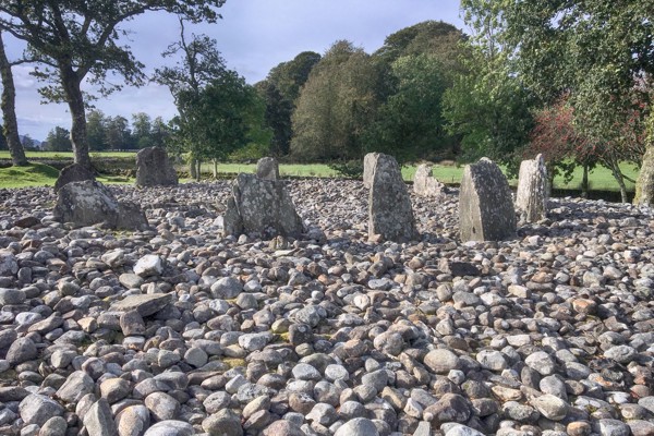 Visit | Downloadable Guides | Wild About Argyll