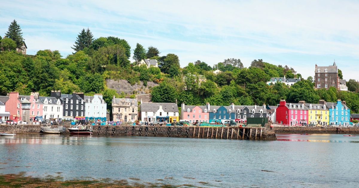 5 dog-friendly walks on the Isle of Mull