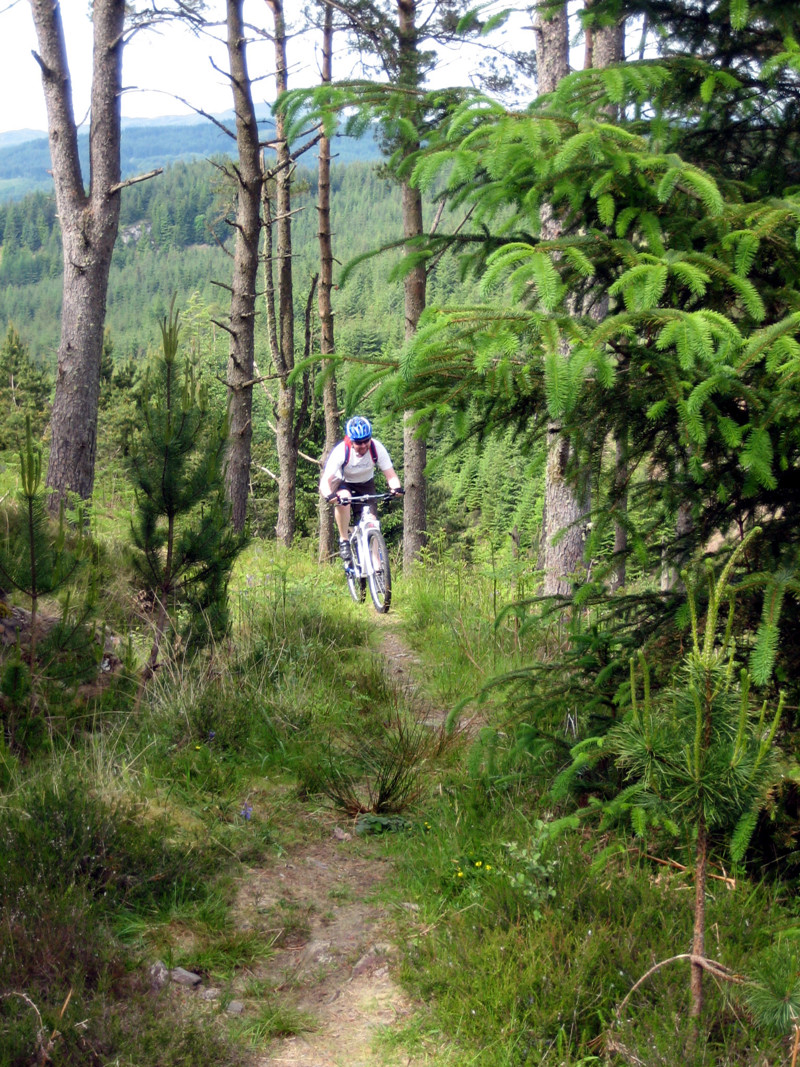 Day Trips in Argyll & the Isles - Scotland's Adventure Coast