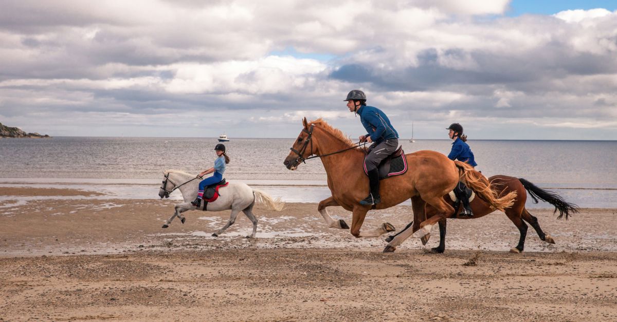 Go on a horse riding adventure in Argyll