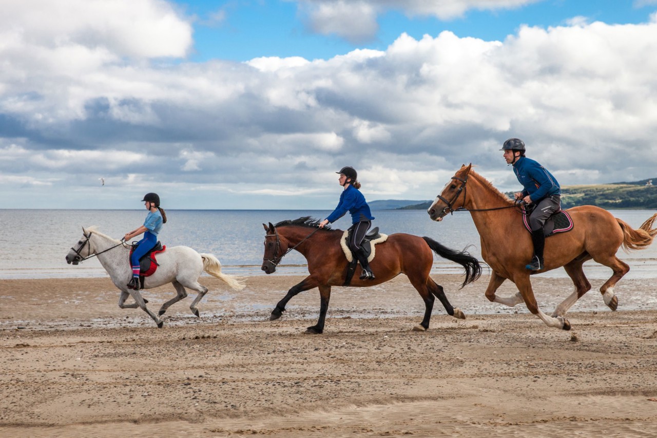 Go on a horse riding adventure in Argyll