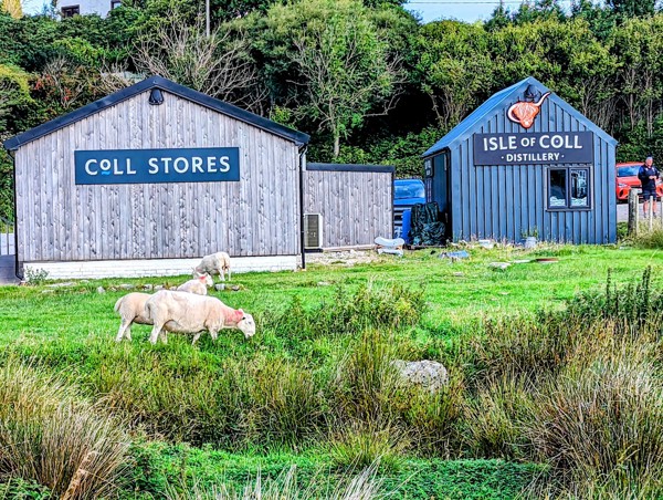 Visit Isle of Coll | Argyll & the Isles