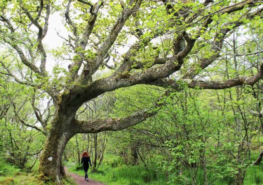 Visit Knapdale | Argyll and the Isles | Scotland's Adventure Coast
