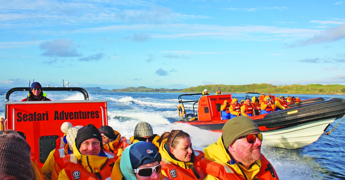 Seafari Adventures (Oban) Ltd | Wild About Argyll