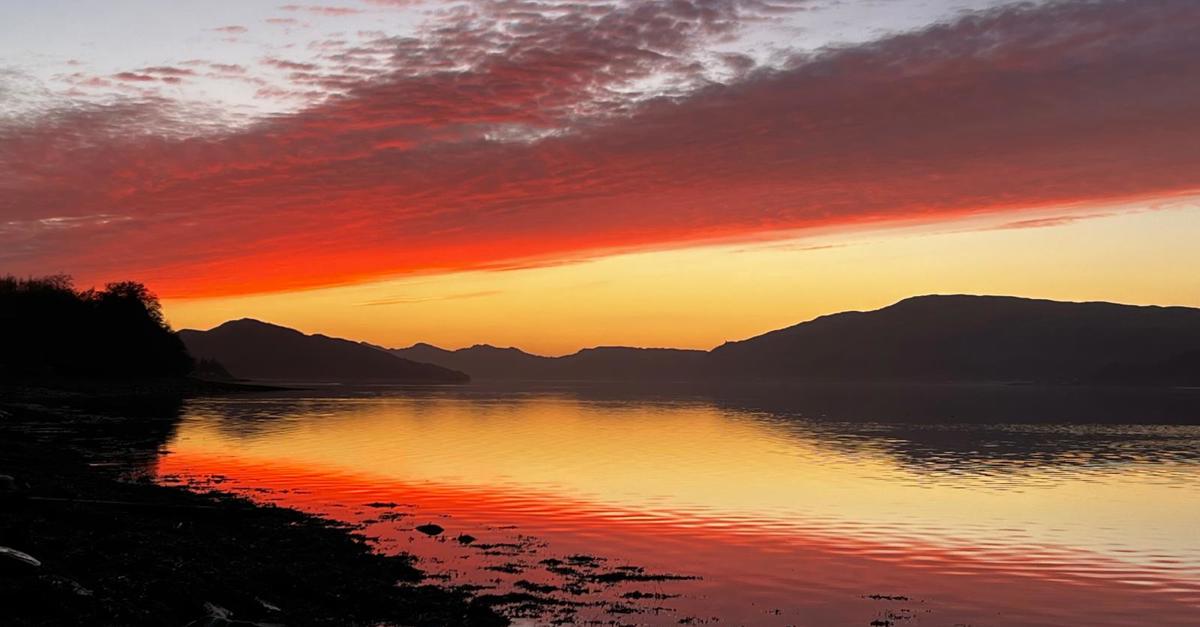 Accommodation | Holiday Cottages West Coast - Oaktree Cottage