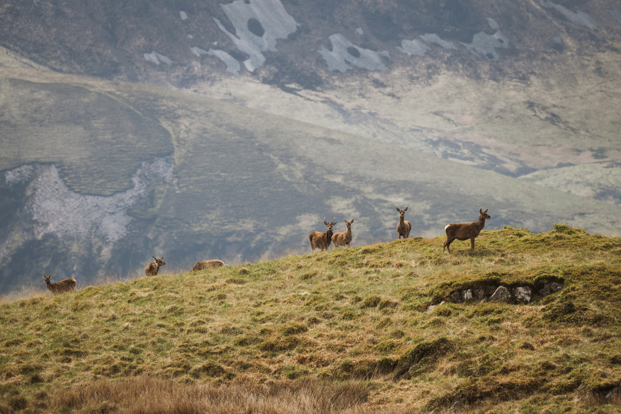 Visit Islay | Visit Jura | Argyll & the Isles