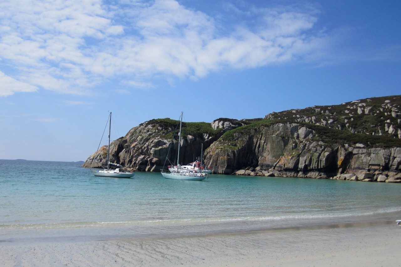 5 dog-friendly walks on the Isle of Mull