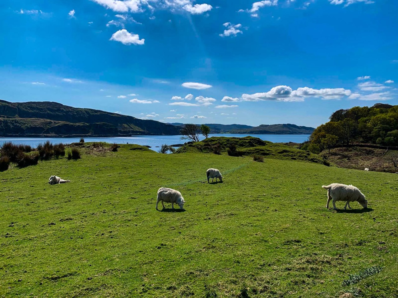 Visit the Isle of Kerrera near Oban | Argyll & the Isles